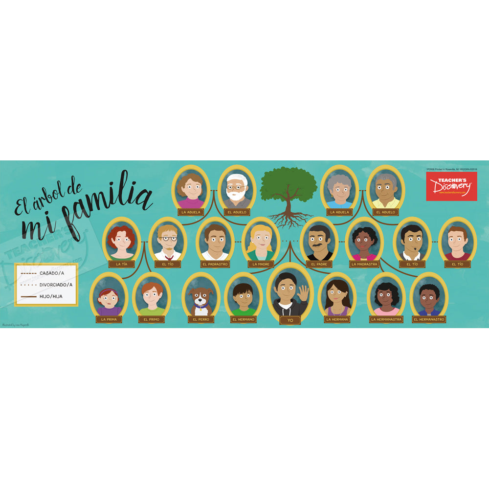 Family Tree - Spanish - Skinny Poster – Teacher's Discovery