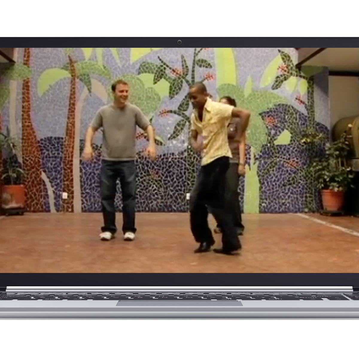 Moo!™ Culture of Latin Dance Today Video – Teacher's Discovery