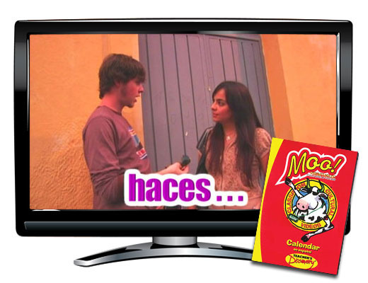 Moo!™ Calendar Spanish Video Download – Teacher's Discovery